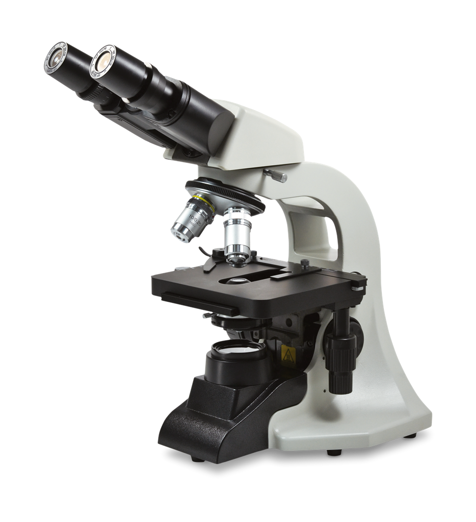 Imágenes De Microscopio óptico Compuesto Técnicas Hitológicas. 6.